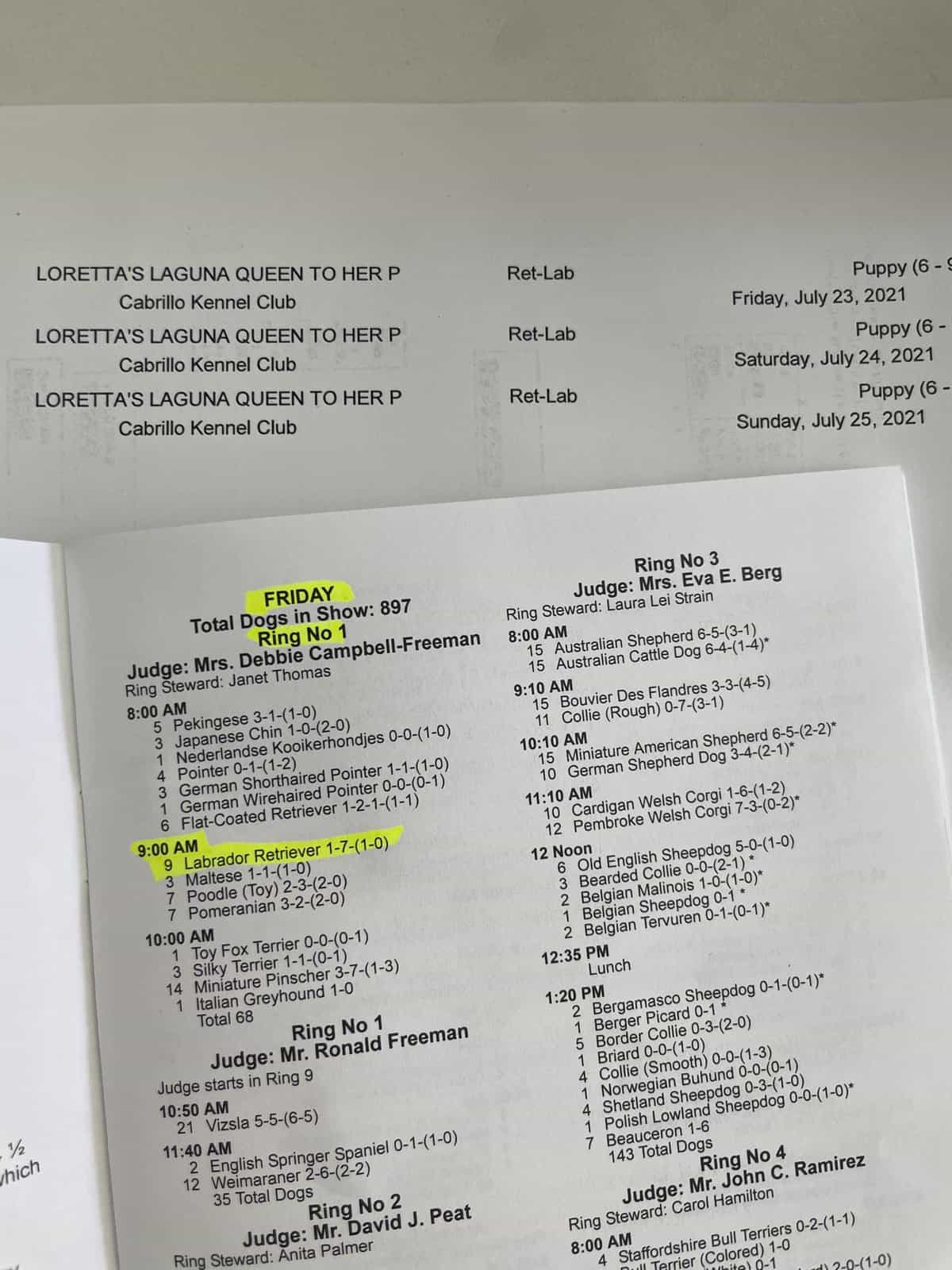 How to Read an AKC Dog Show Judging Program Entry - Laguna Labradors ...