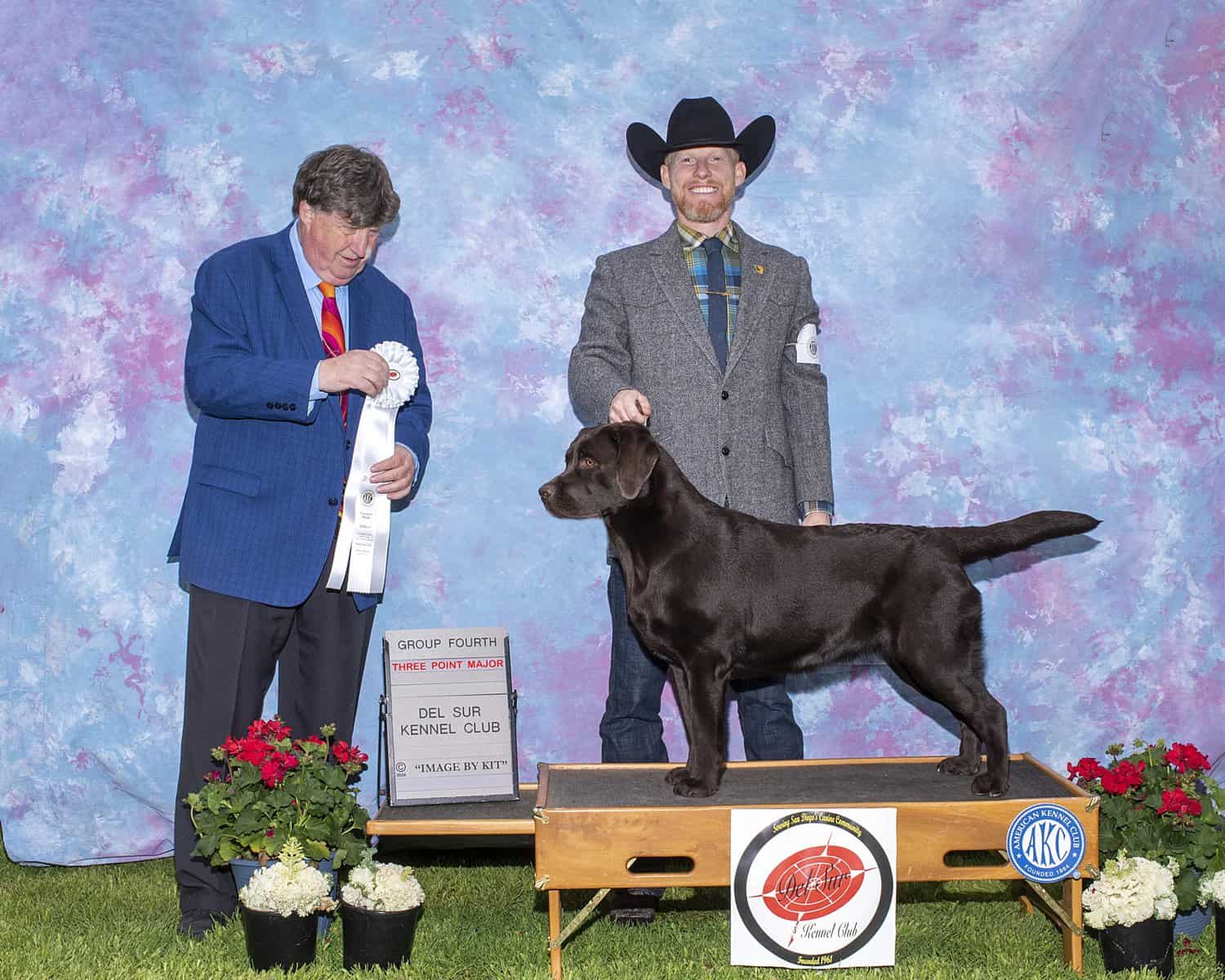 AKC Colors of Labrador Retrievers: Black, Yellow & Chocolate