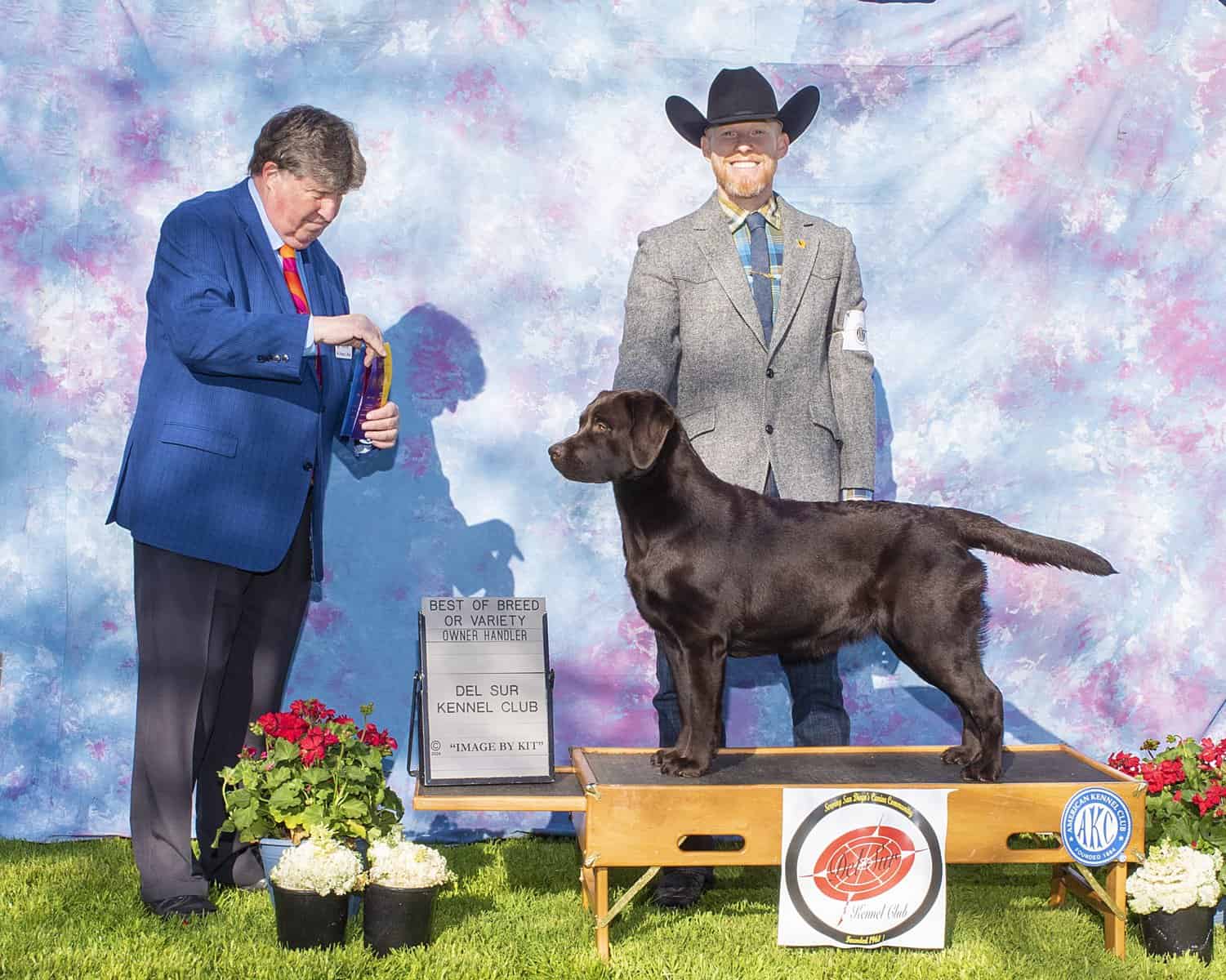 2027 Waitlist - California English Labrador Puppies - Top Breeder