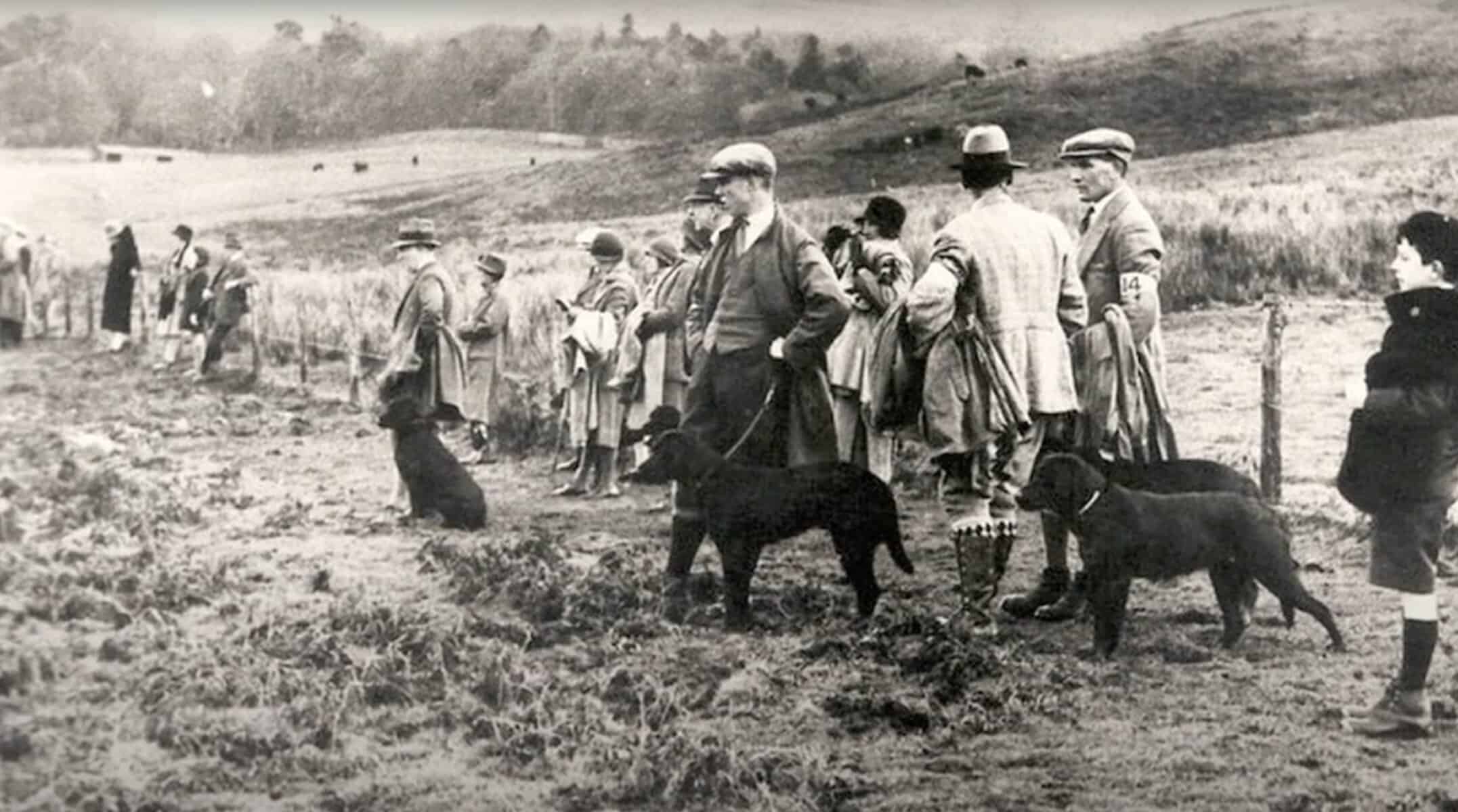 History of The Labrador Retriever - Where are Labradors From?